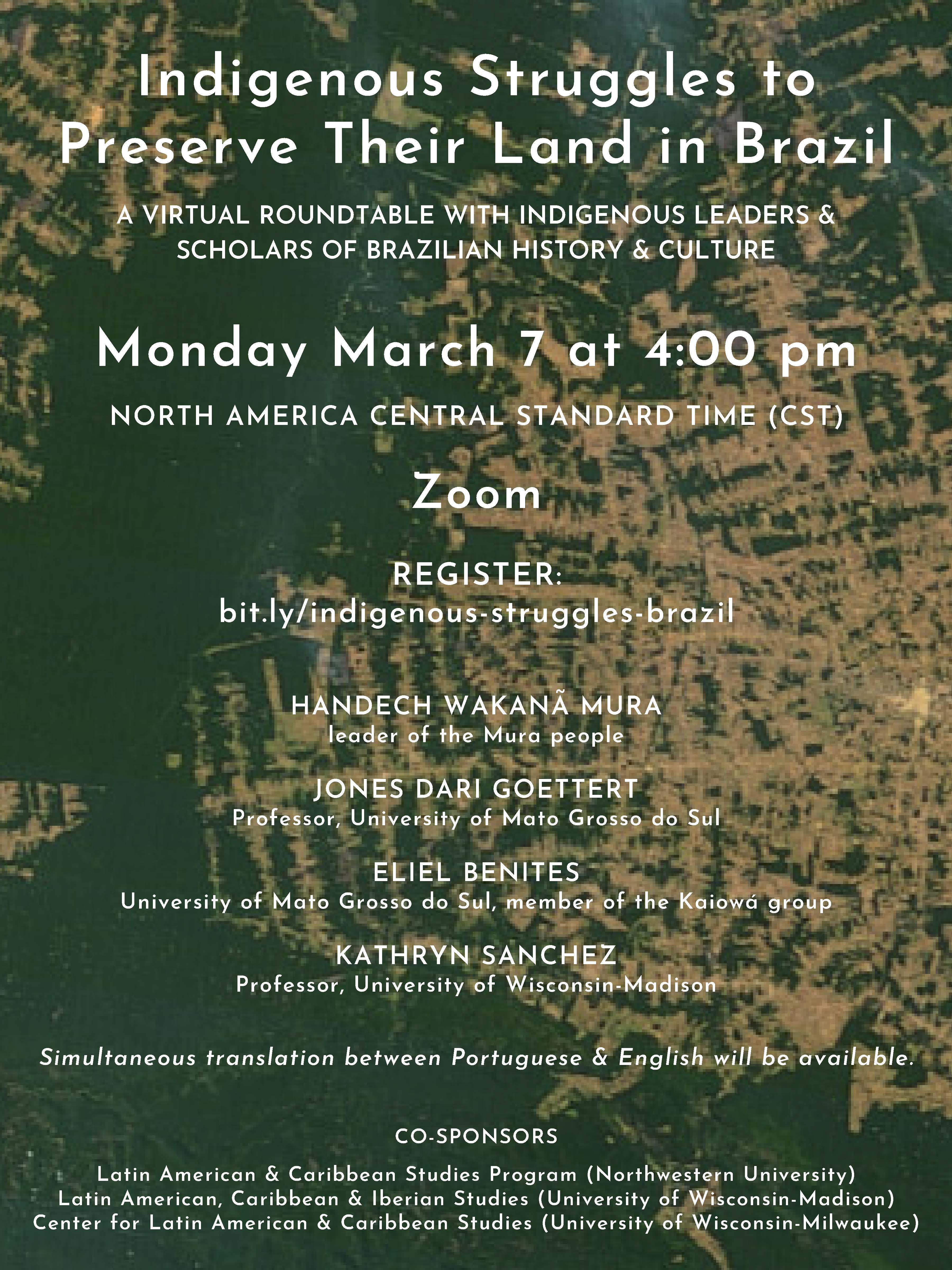 LASA Center Director Section Series on Indigeneity, Afro-descendants and other marginalized ...